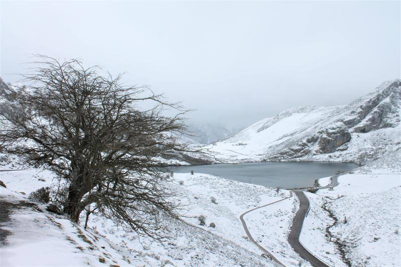 Fotos: Los lagos de Covadonga, bajo la nieve de primavera | El Comercio