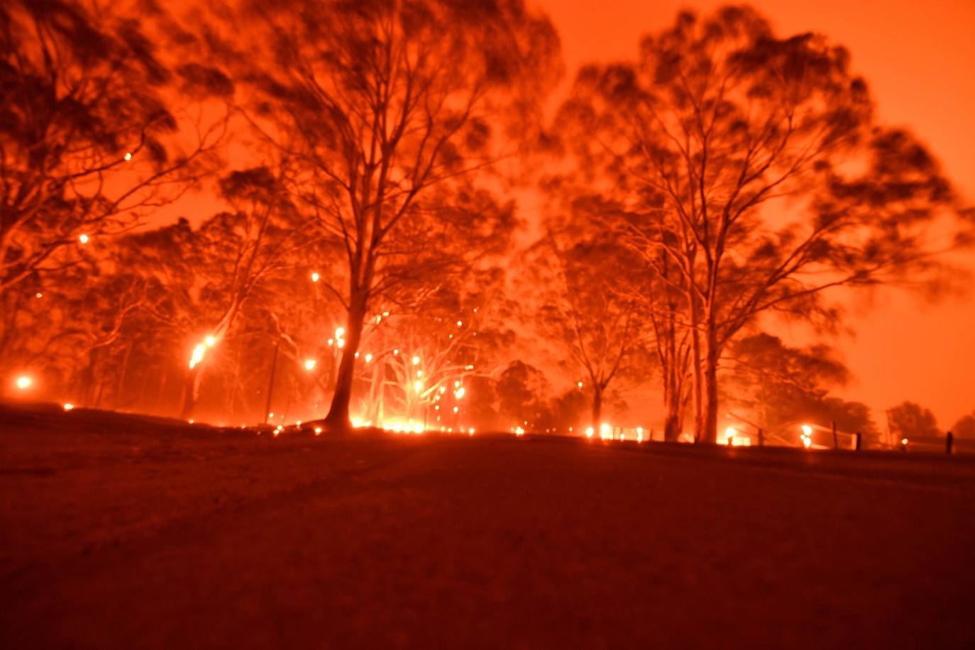 Fotos: Devastadores incendios en Australia | El Comercio