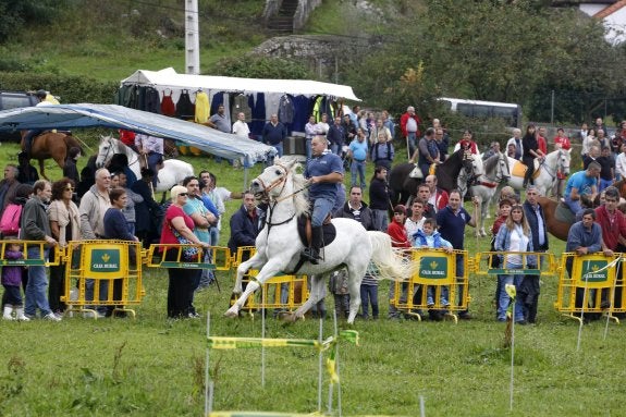 Posada se convierte un año más en la capital asturiana del caballo | El ...